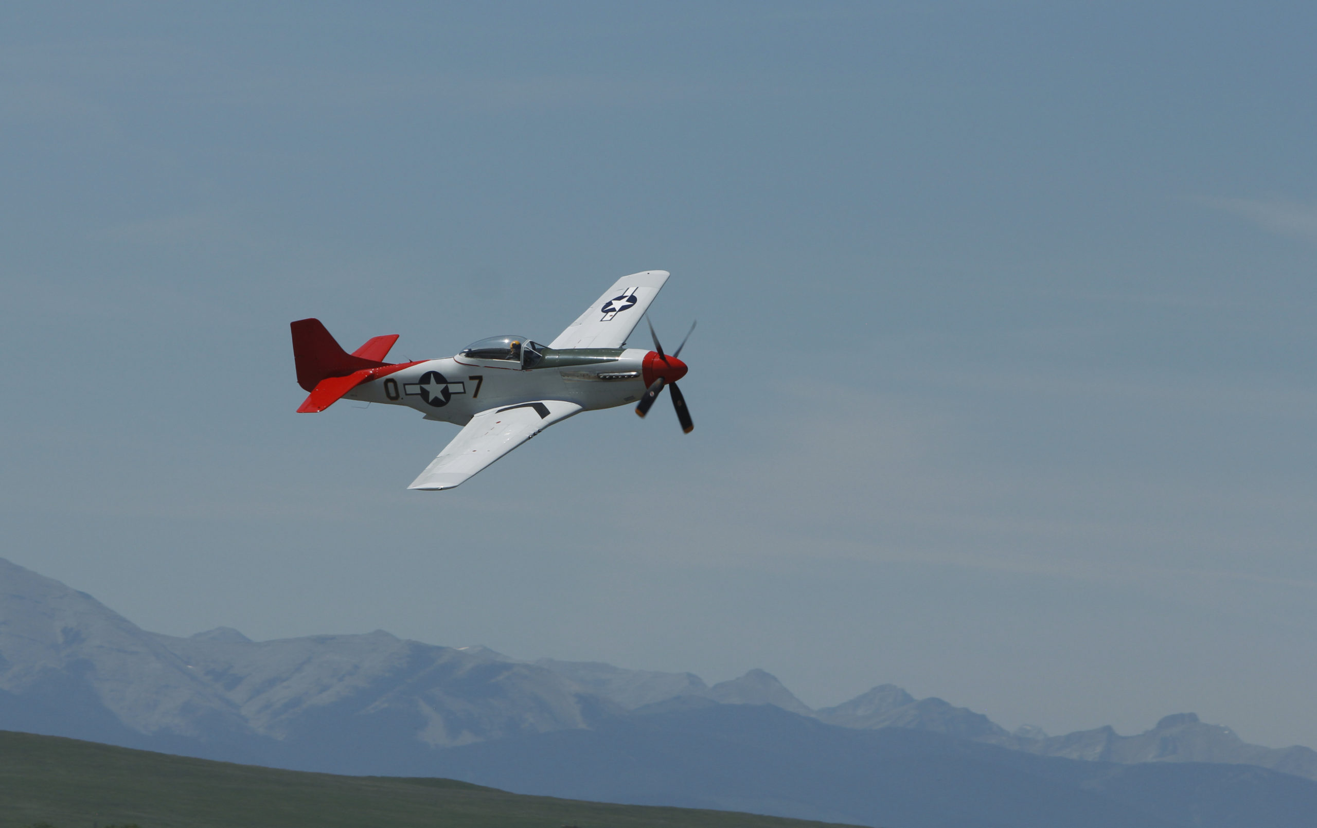 Home - Duck n cover studios